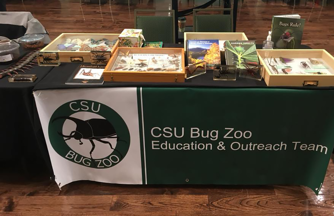 Bug Zoo - Agricultural Biology