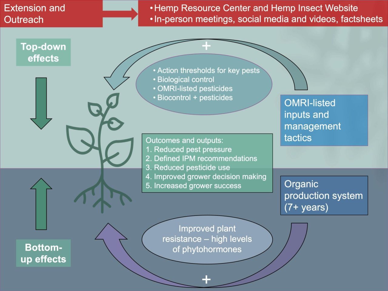 IPM of Hemp Pests - Agricultural Biology