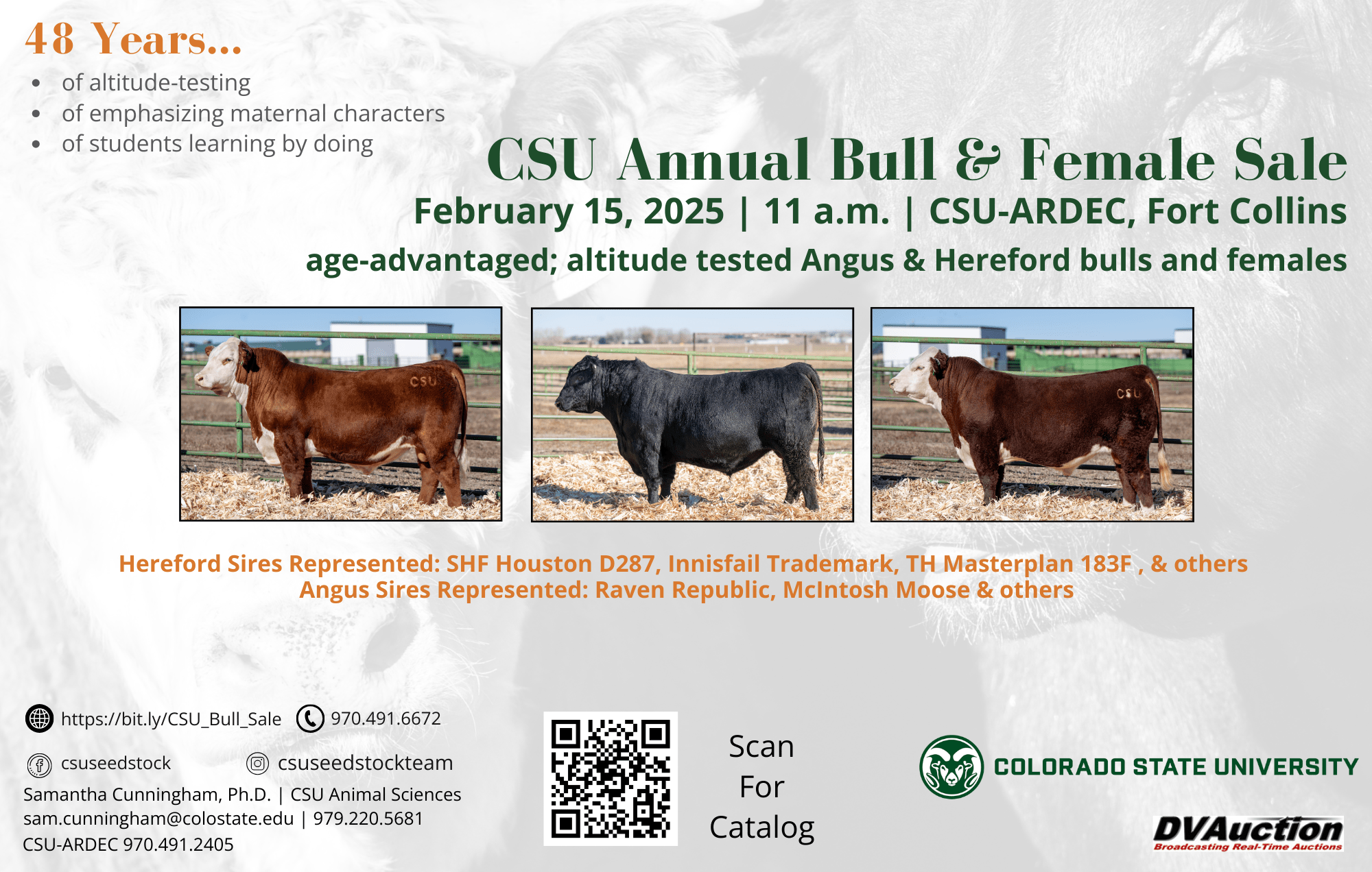 Annual CSU Bull and Female Sale - Feb 17, 2024
