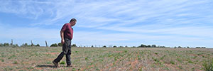 Covering your assets- The Cortez Journal - Dryland Cover Crops