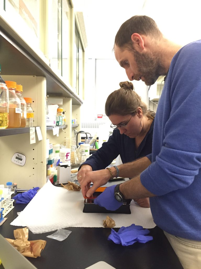 Gallery - Leach Lab