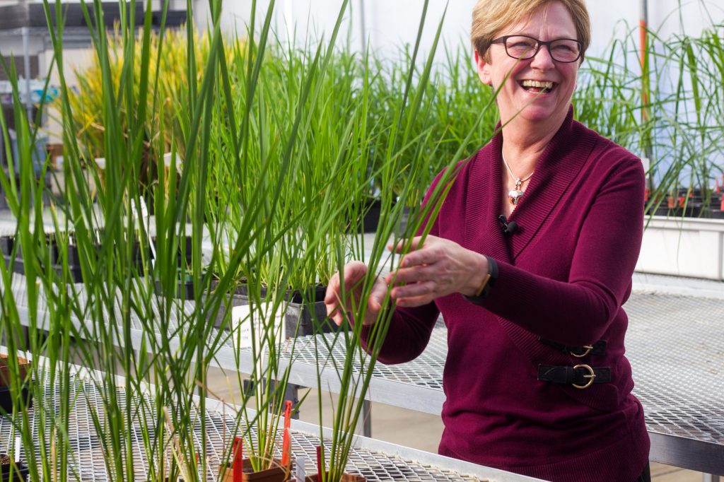 Gallery - Leach Lab