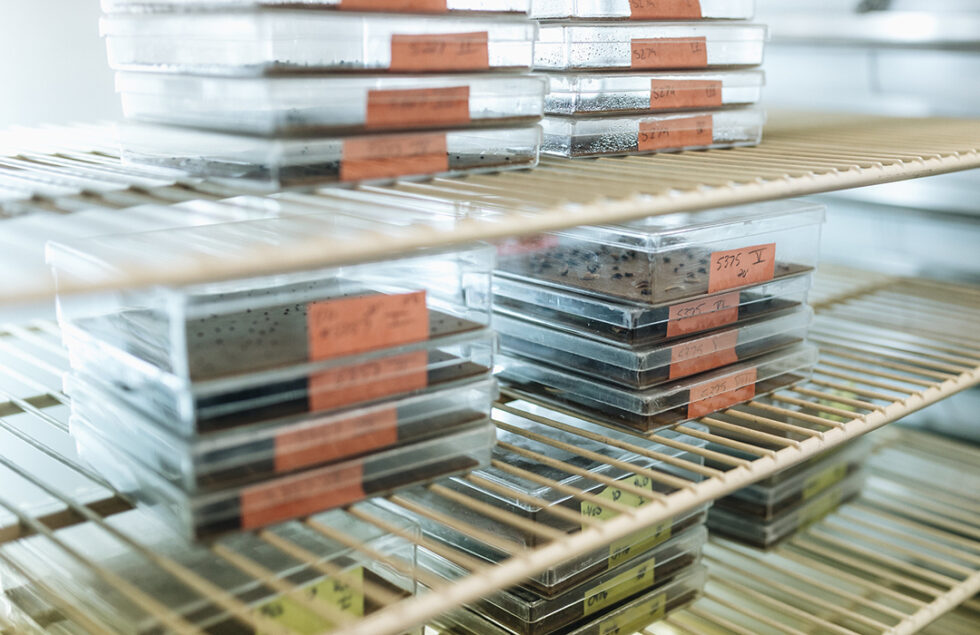 Seed Lab - CSU Seed Programs