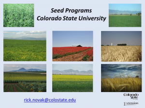 Our Programs - Seed Programs