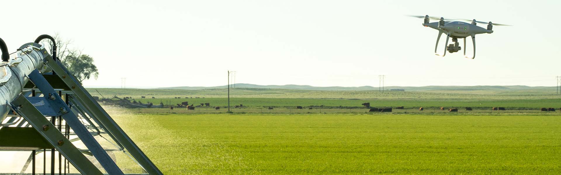CSU Soil Crop Sciences - Earn your Soil Crop Sciences Degree