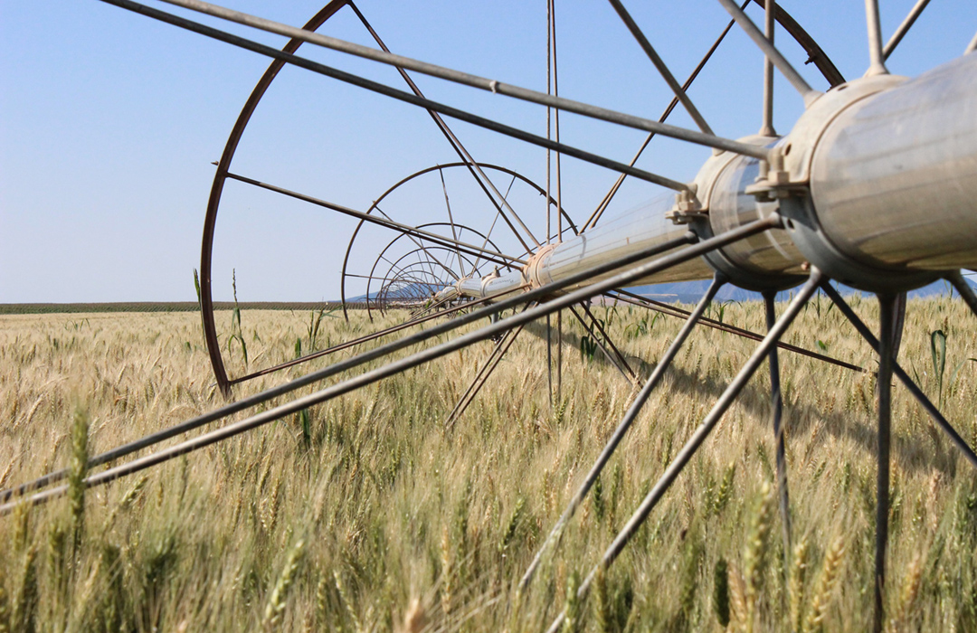 CSU Soil Crop Sciences - Soil Science Research