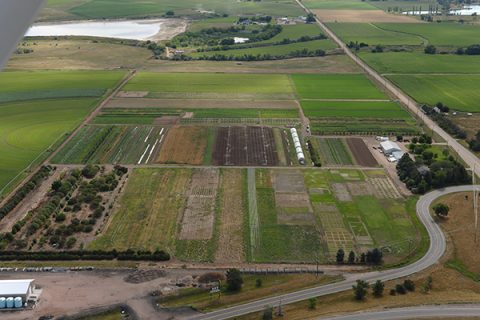 About Agricultural Research Development and Education Center - College ...