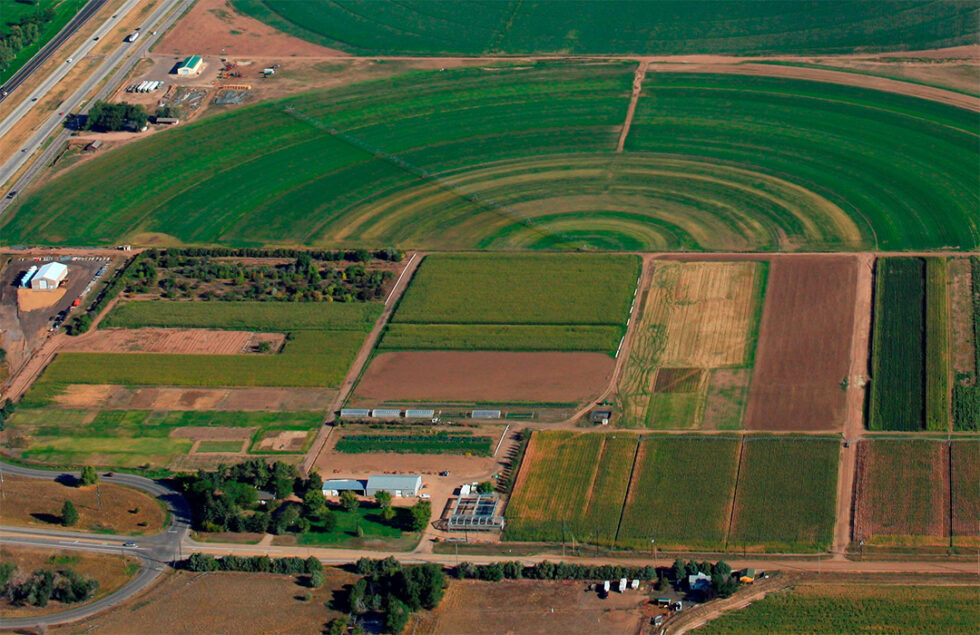 About Agricultural Research Development and Education Center - College ...