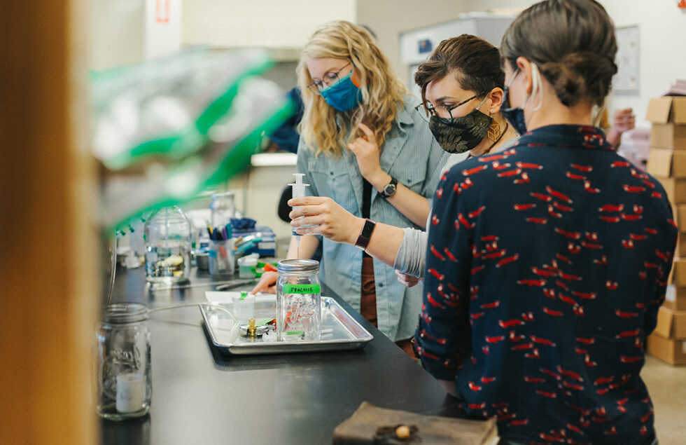 CAS Undergraduate Research Fellowship - College of Agricultural Sciences